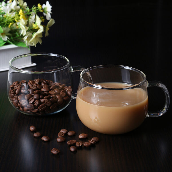 Heat Resistant Borosilicate Glass Mug - Vmara Glass